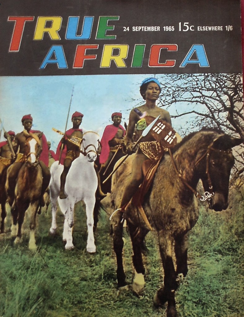 A personal perspective on South African Comics: From Superheroes to ...